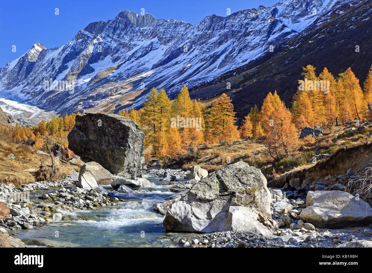 Lonza hi-res stock photography and images - Alamy