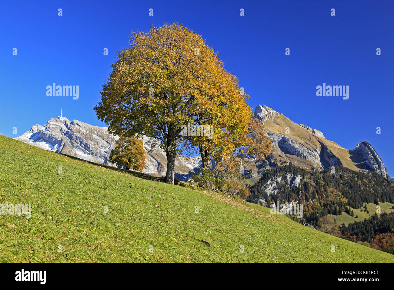 Switzerland, Swiss alps, Appenzell, St Gallen, Altmann, alp stone ...