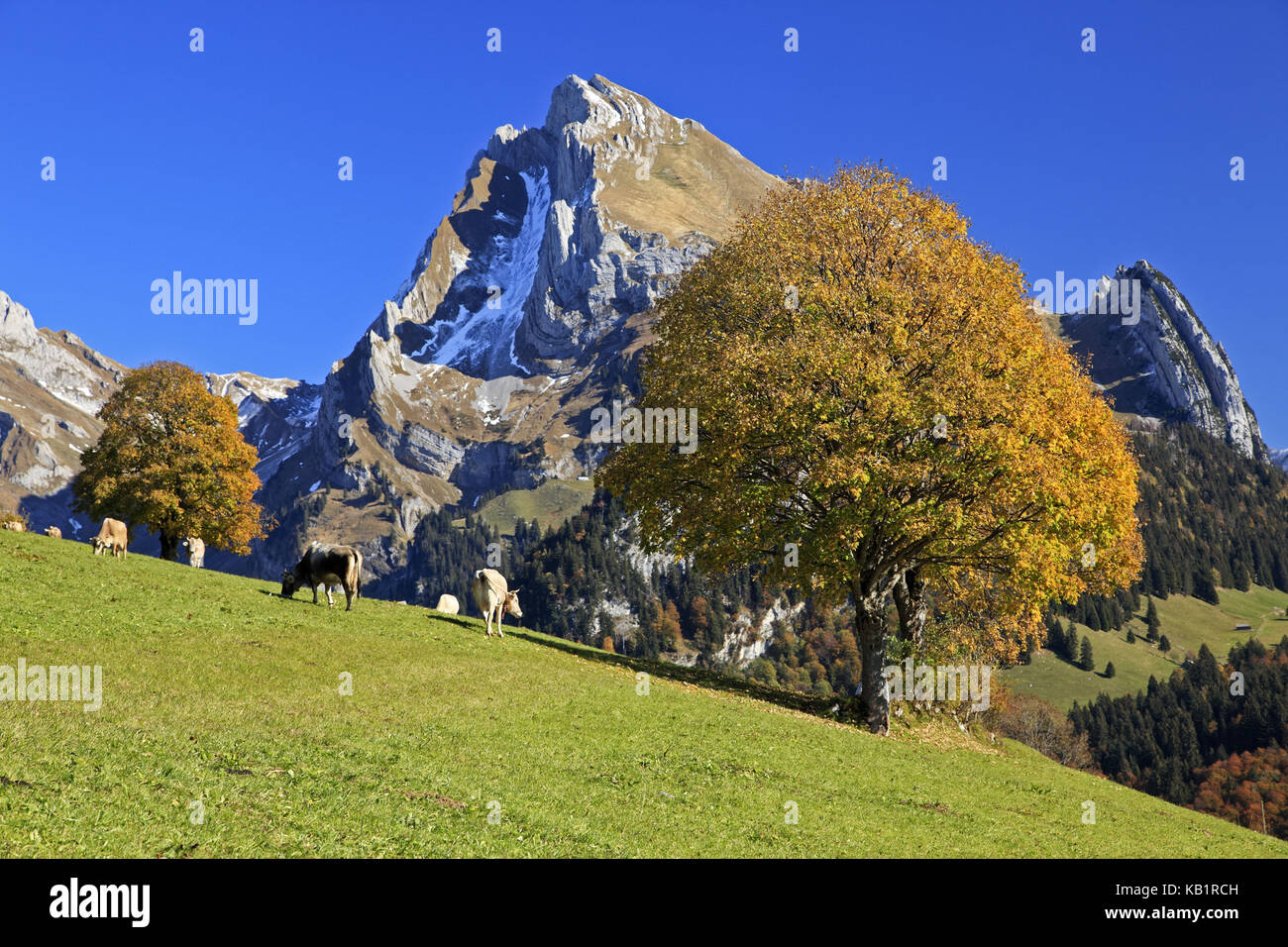 Switzerland, Swiss alps, Appenzell, St Gallen, Altmann, alp stone ...