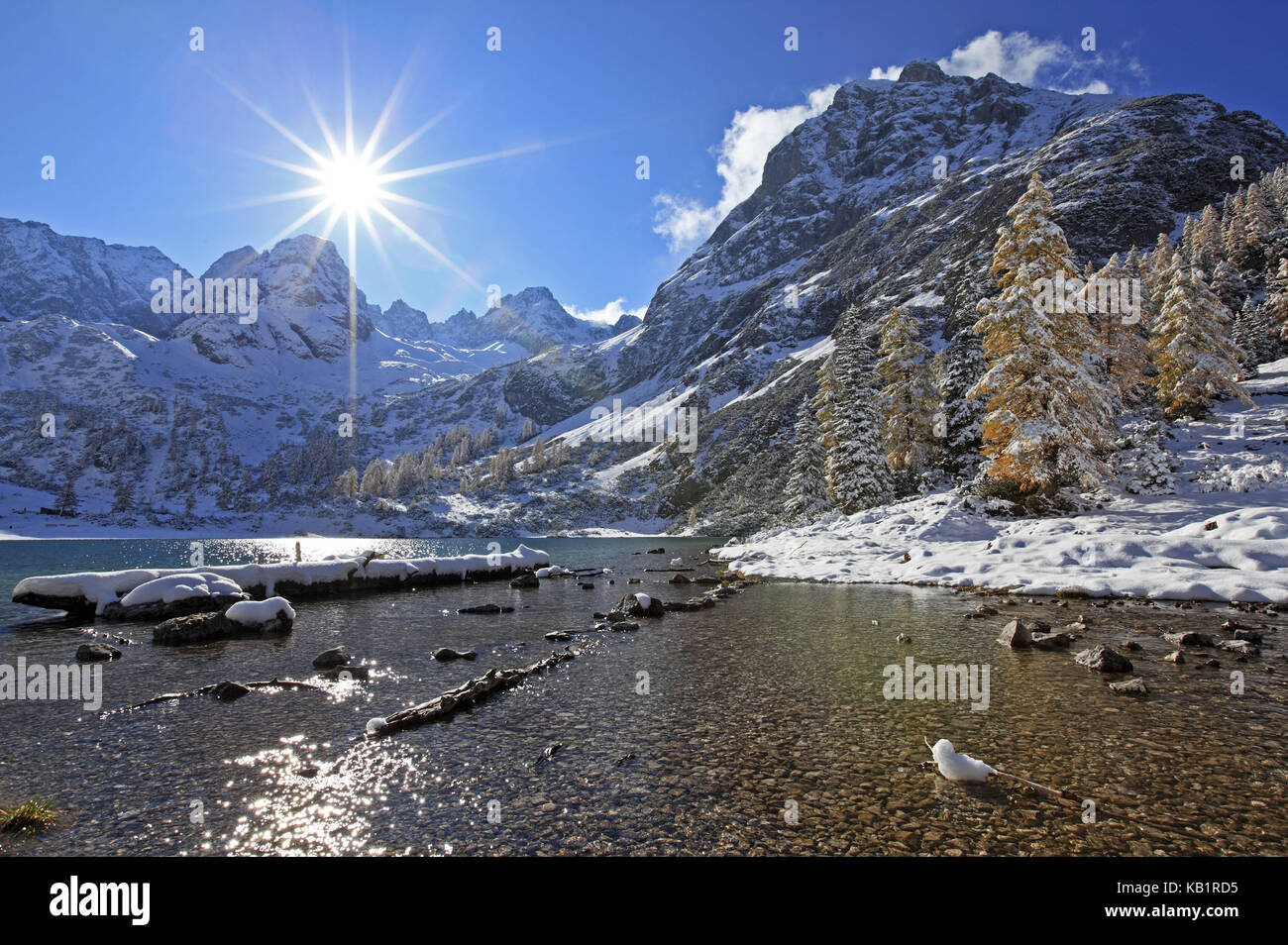 Austria, Tyrol, Mieming range, Mieminger mountain range, larches close ...