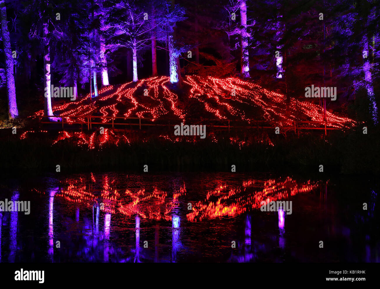 Pictured is the Flow installation which is part of The Enchanted Forest ...