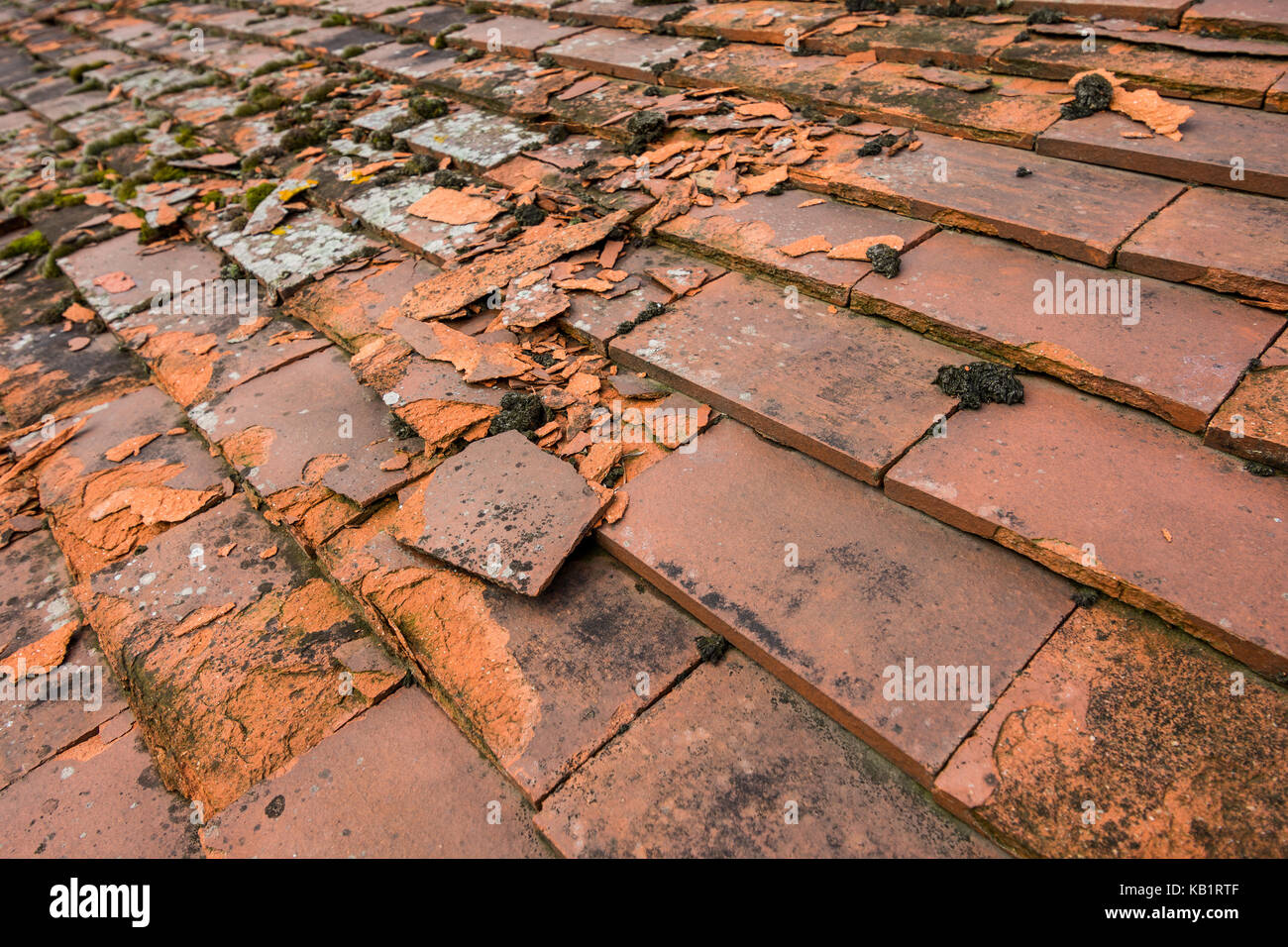 Frost weathering hi-res stock photography and images - Alamy