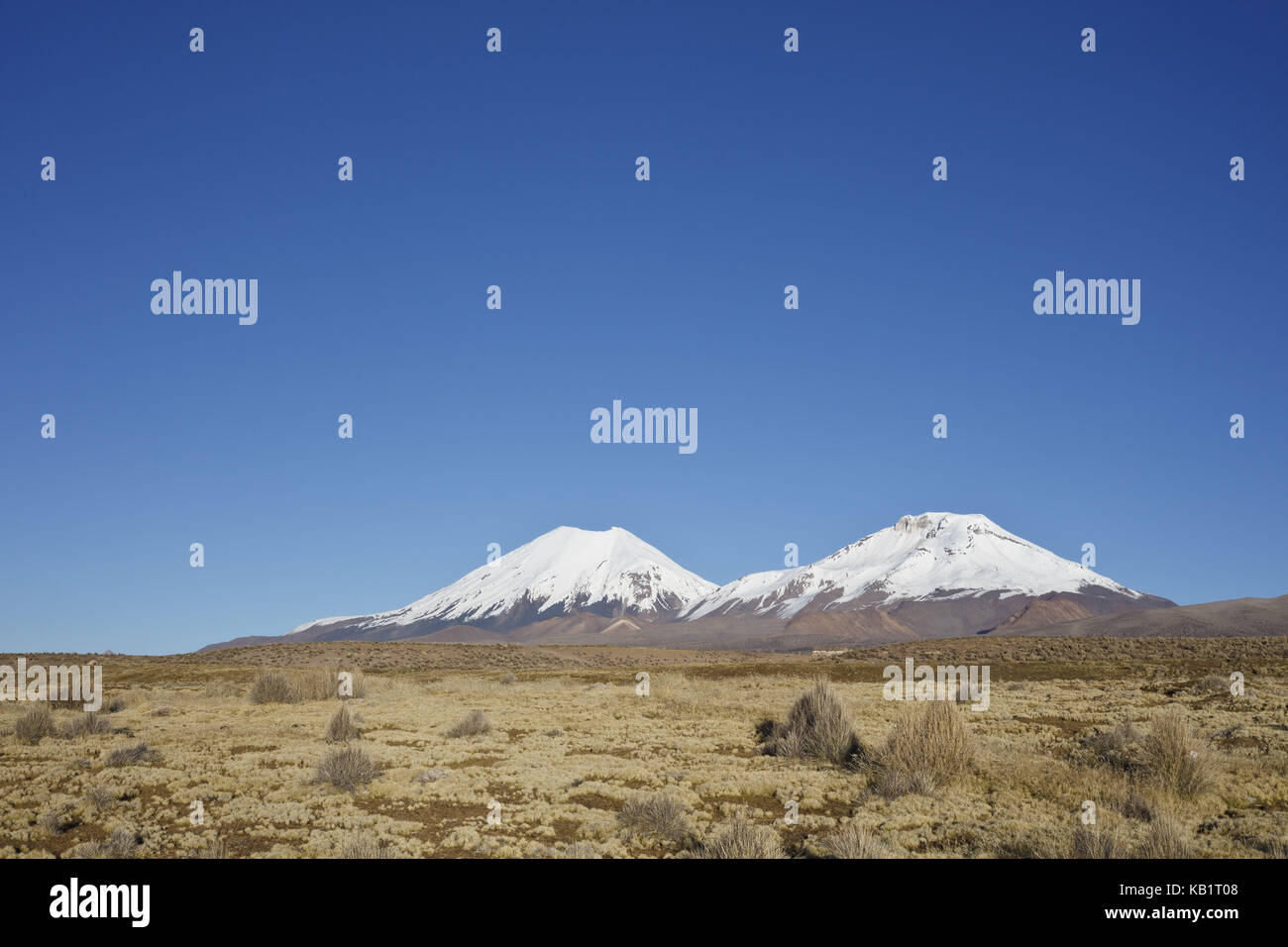 Bolivia, national park Sajama Stock Photo - Alamy