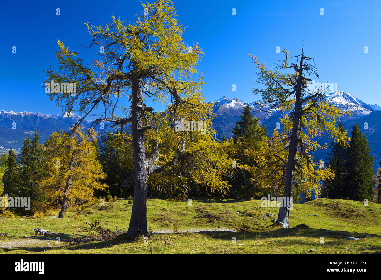 Austria, Tyrol, Mieminger plateau, Obsteig, Simmeringalm, weather ...