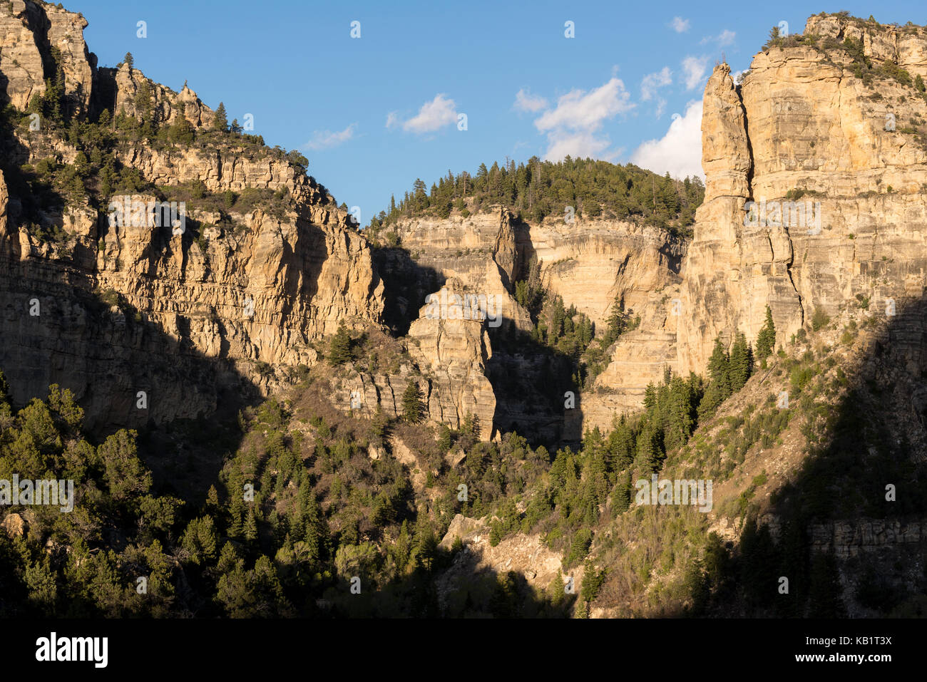 Evening light on the cliffs of Cedar Canyon, Utah Stock Photo - Alamy