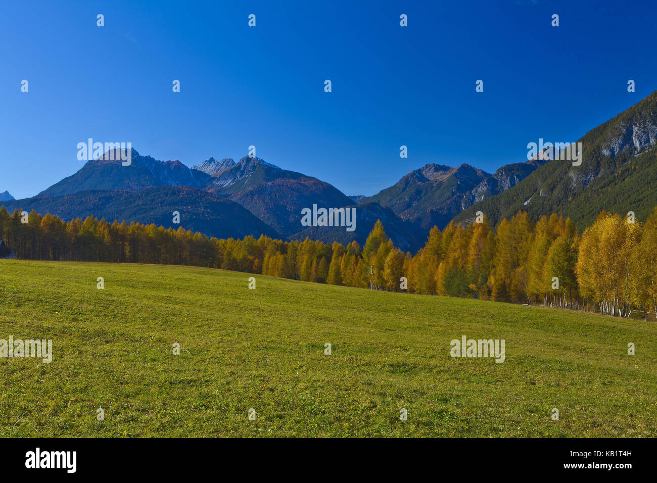 Austria, Tyrol, Mieminger plateau, Obsteig, Holzleiten Stock Photo - Alamy