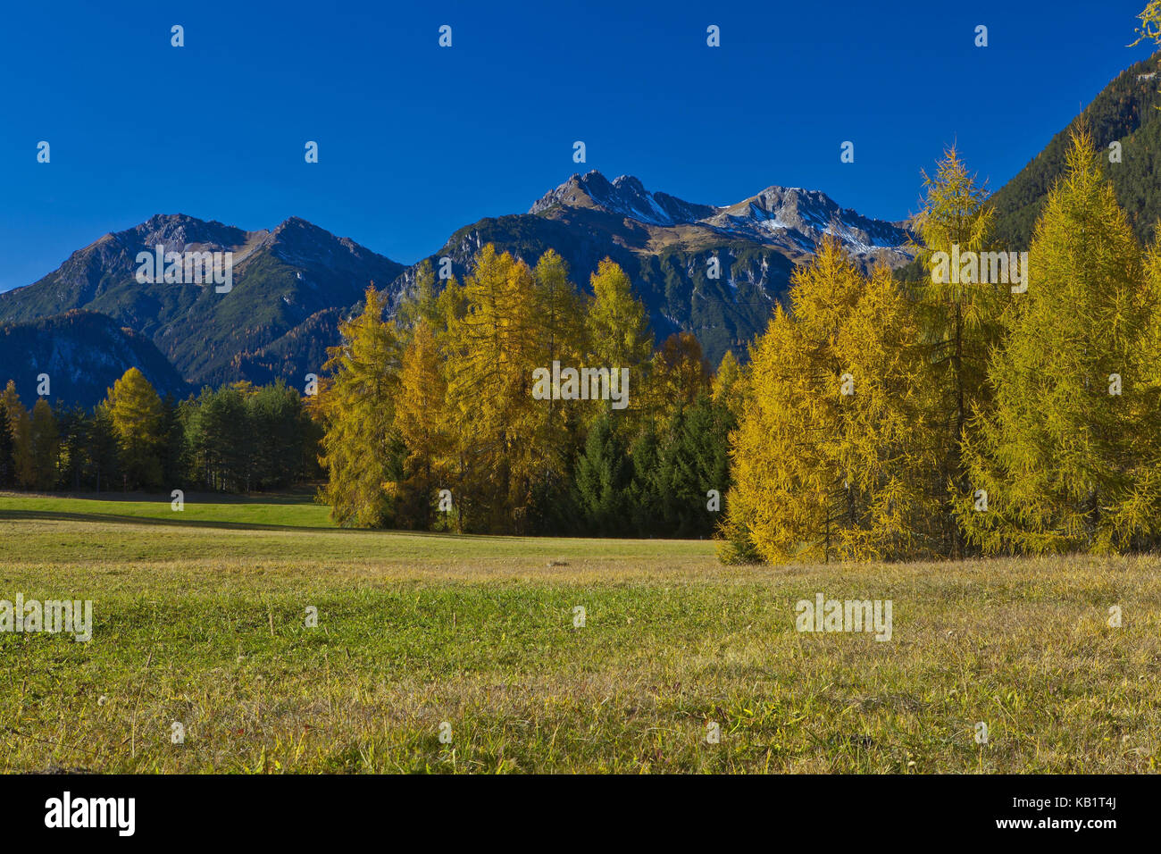 Austria, Tyrol, Mieminger plateau, Obsteig, Holzleiten Stock Photo - Alamy