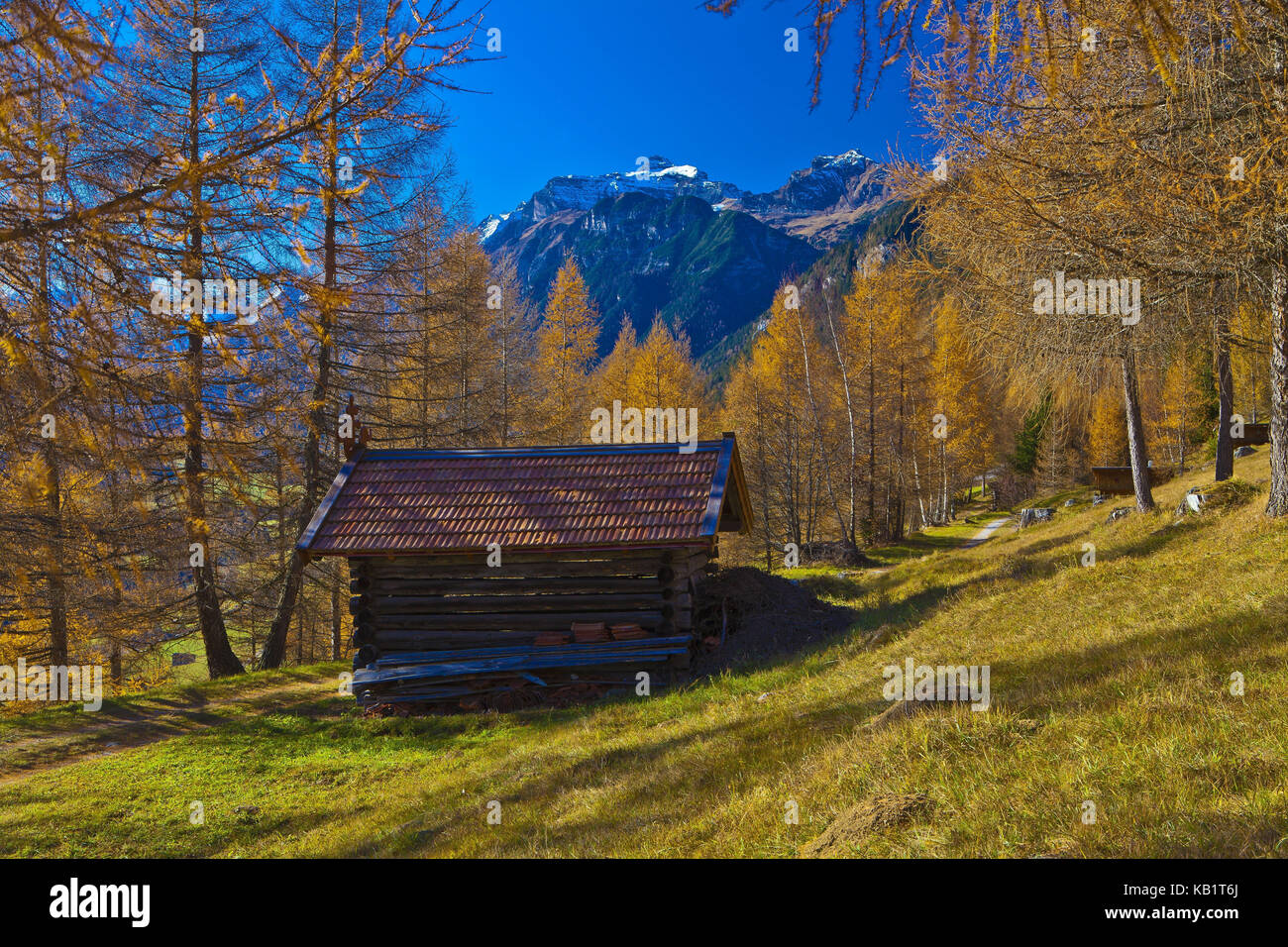 Austria, Tyrol, Trins Stock Photo - Alamy