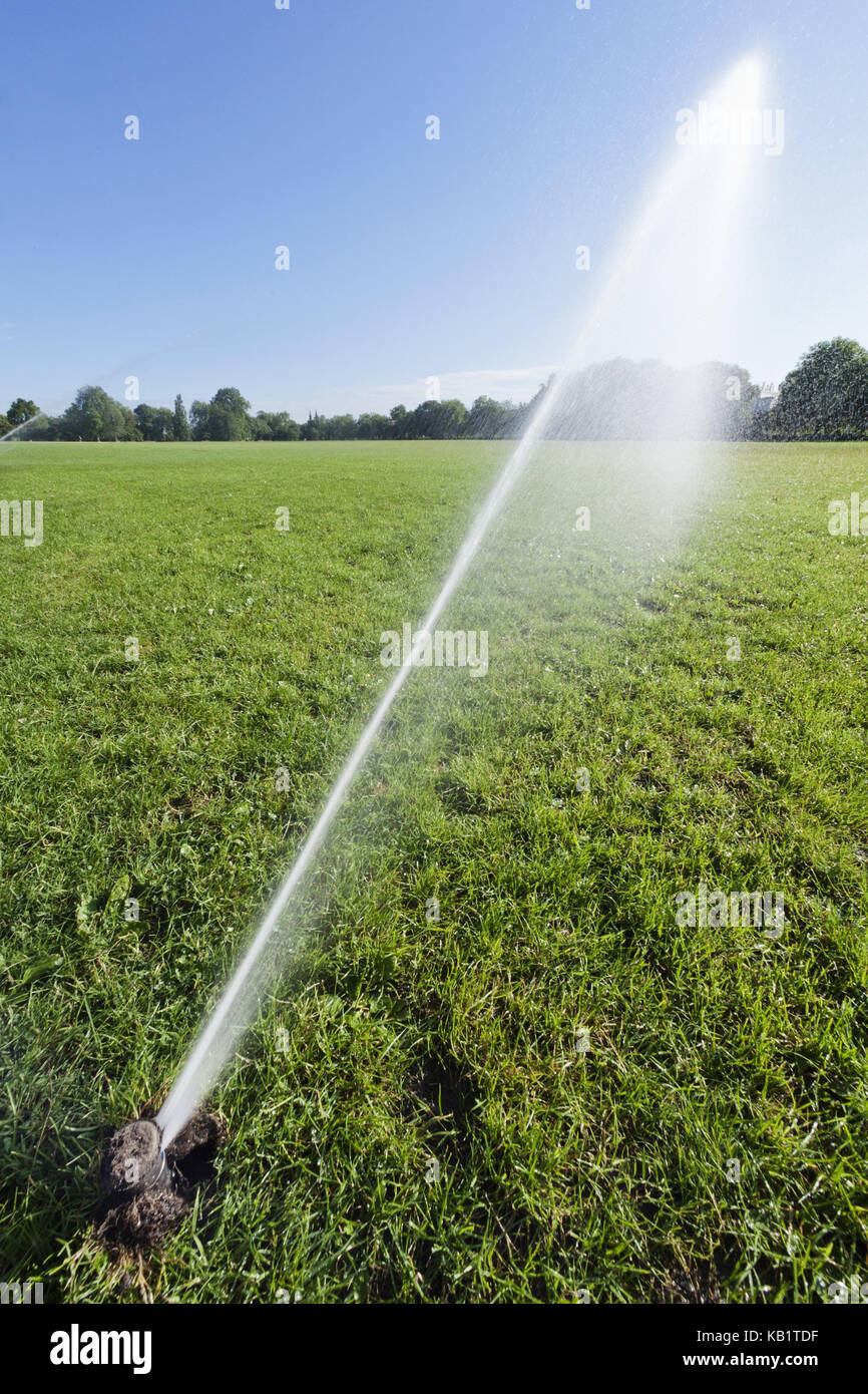 Plant england hi-res stock photography and images - Alamy
