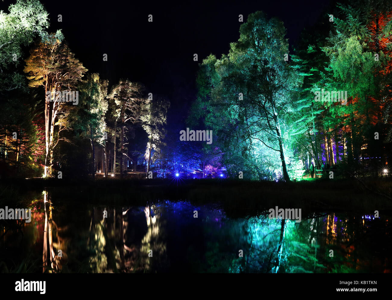 Trees are illuminated at The Enchanted Forest sound and light show in ...