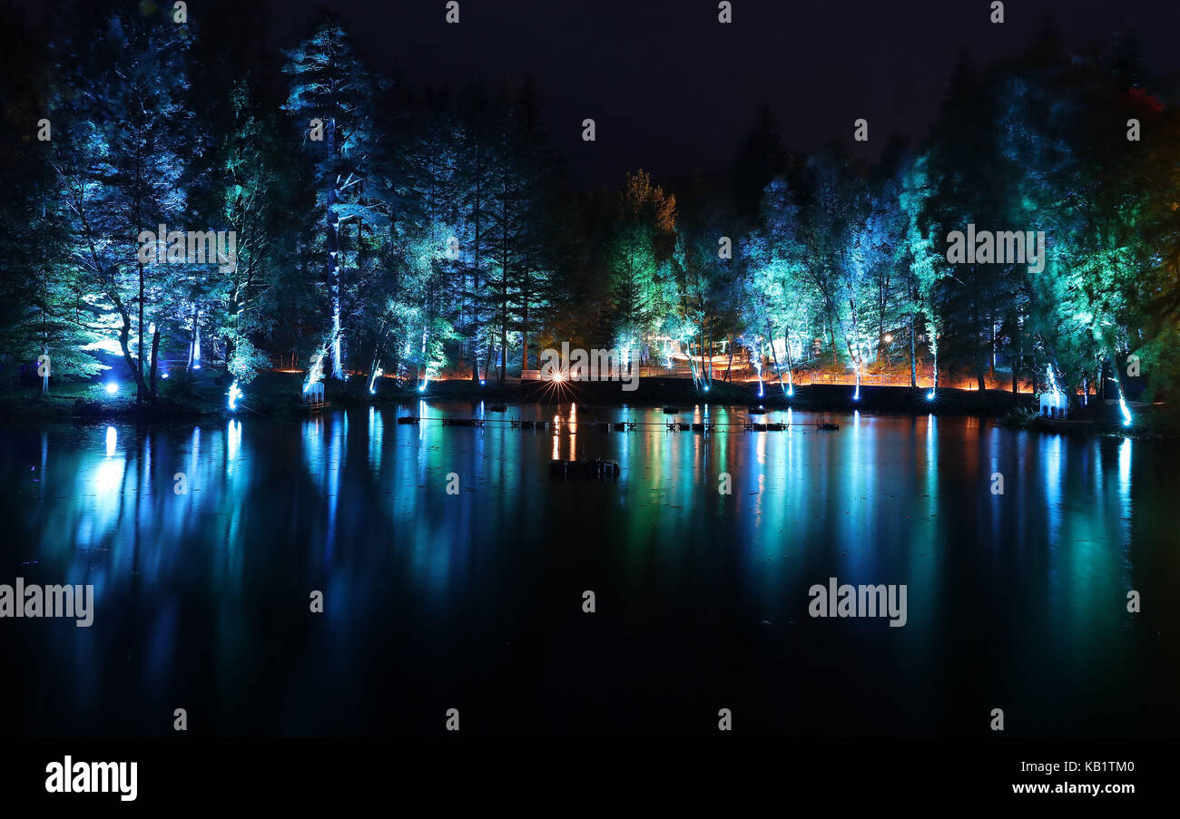 Trees are illuminated at The Enchanted Forest sound and light show in ...