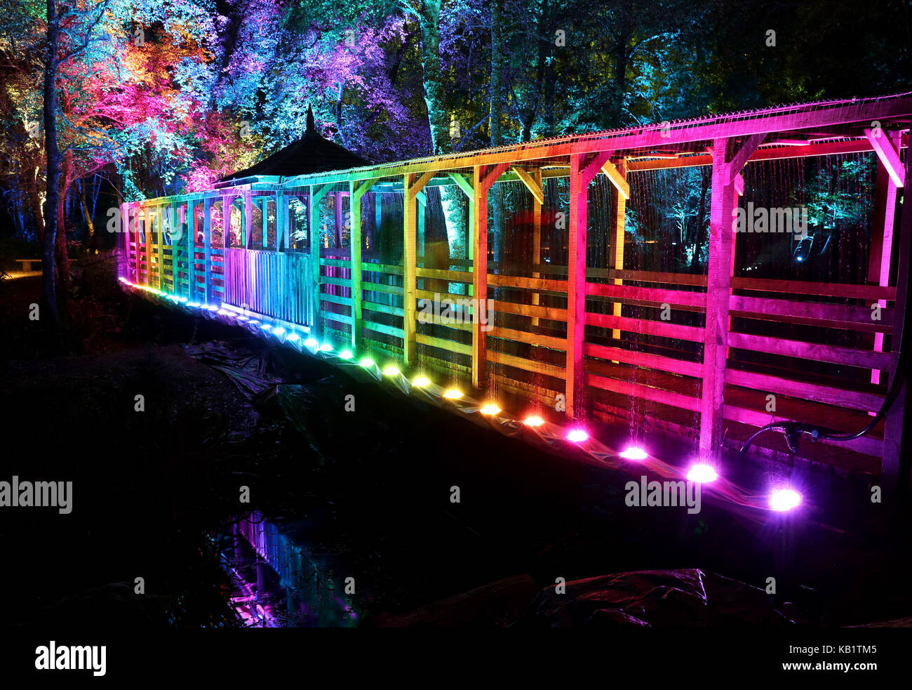 Enchanted Forest Faskally High Resolution Stock Photography and Images ...