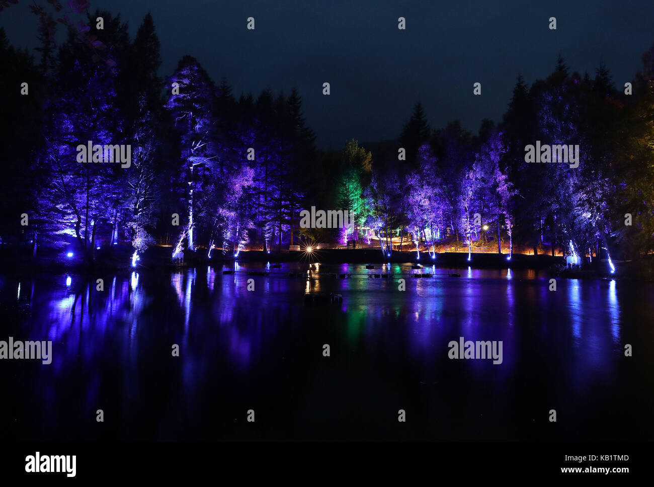 Trees are illuminated at The Enchanted Forest sound and light show in ...