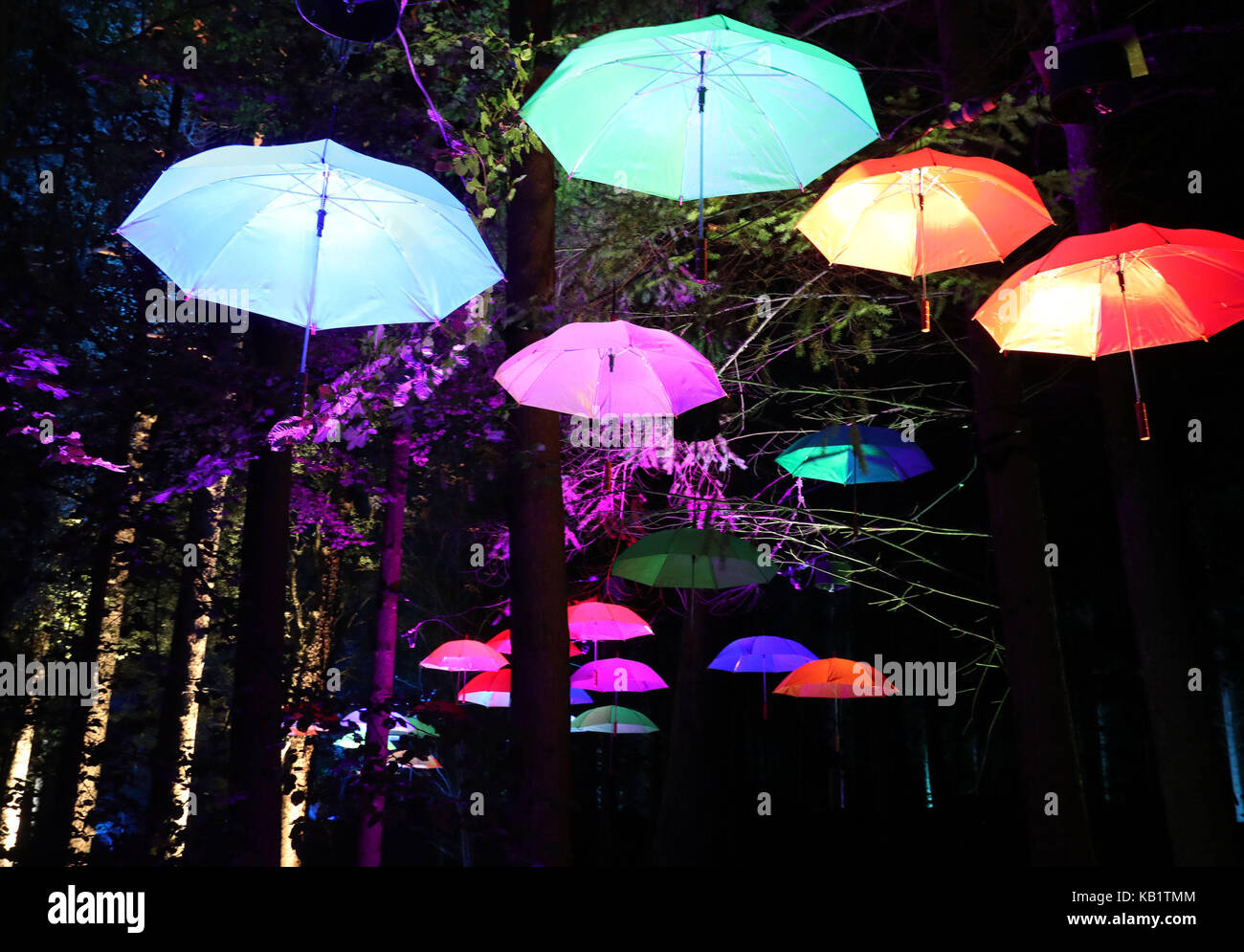 Pictured is a general view of The Enchanted Forest sound and light show ...