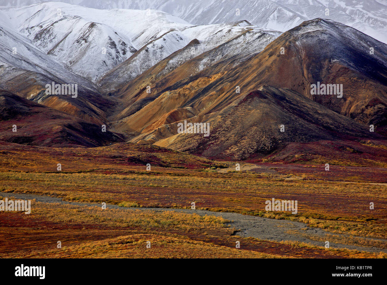 North America, the USA, Alaska, Denali national park, Alaska Range ...