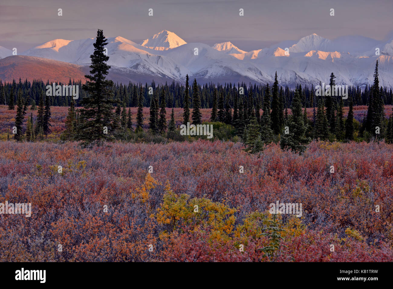 North America, the USA, Alaska, Denali national park, Alaska Range ...