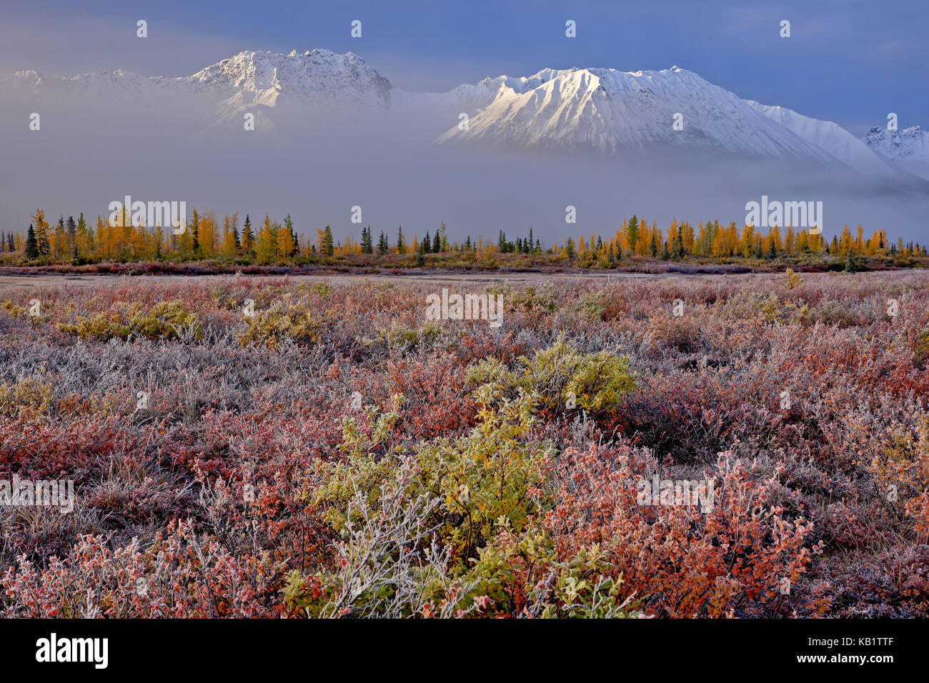 North America, the USA, Alaska, Denali national park, Alaska Range ...
