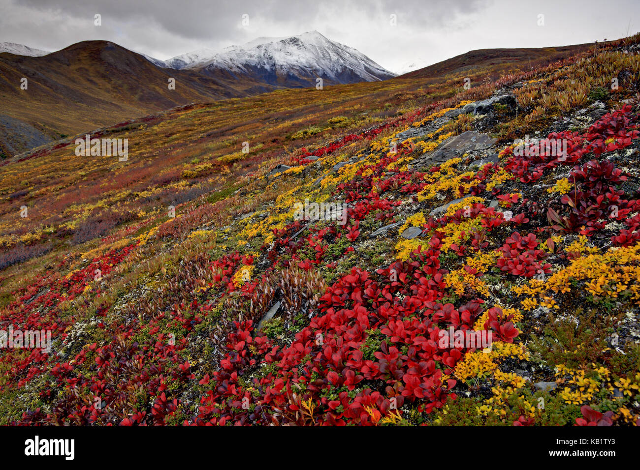 Tundra landscape alaska hi-res stock photography and images - Alamy