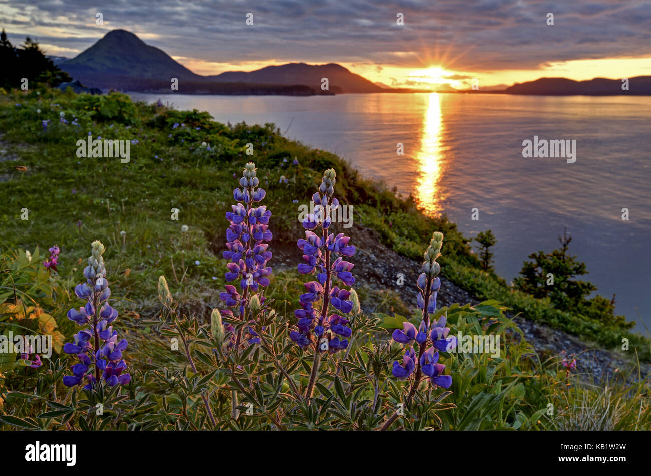North America, the USA, Alaska, Kodiak Iceland, Monashka Bay ...