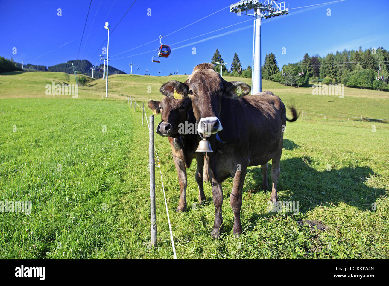 Alp spike railway hi-res stock photography and images - Alamy
