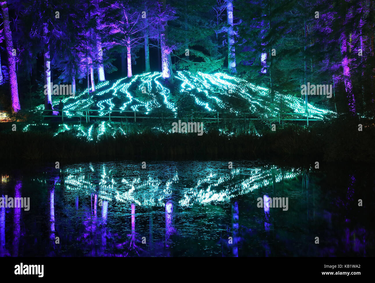Pictured is the Flow installation which is part of The Enchanted Forest ...