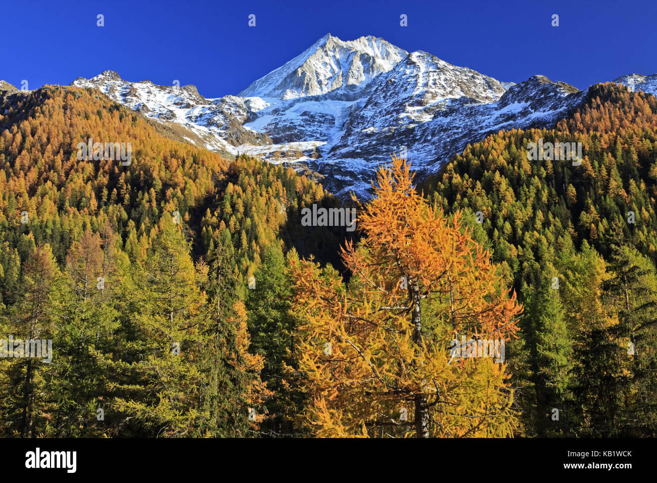 Lötschental autumn hi-res stock photography and images - Alamy