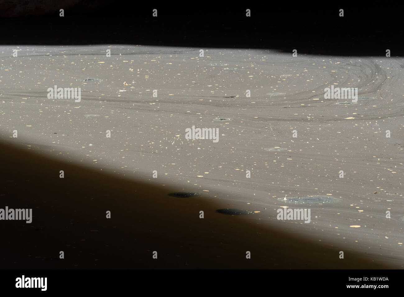Scum on the top of a stagnant pool in a side canyon of the Escalante ...