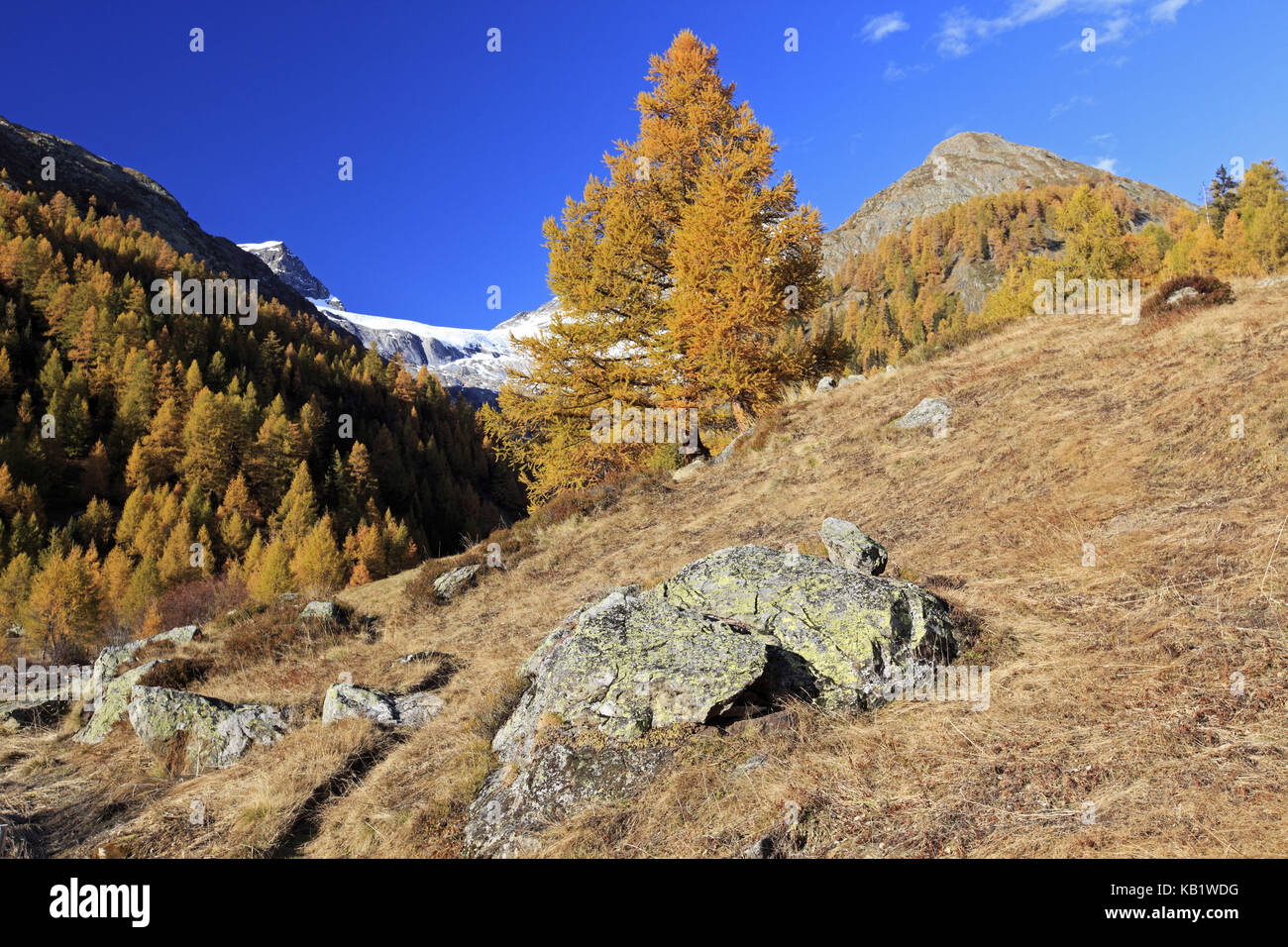 Switzerland, canton Valais, Lötschental, autumn scenery Stock Photo - Alamy
