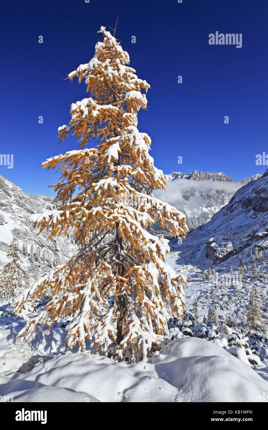 Austria, Tyrol, Mieming range, Zugspitze (mountain), Wetterstein Stock ...