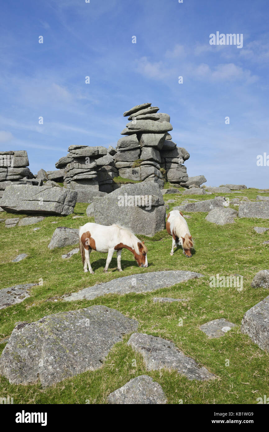 Great stacking gate hi-res stock photography and images - Alamy