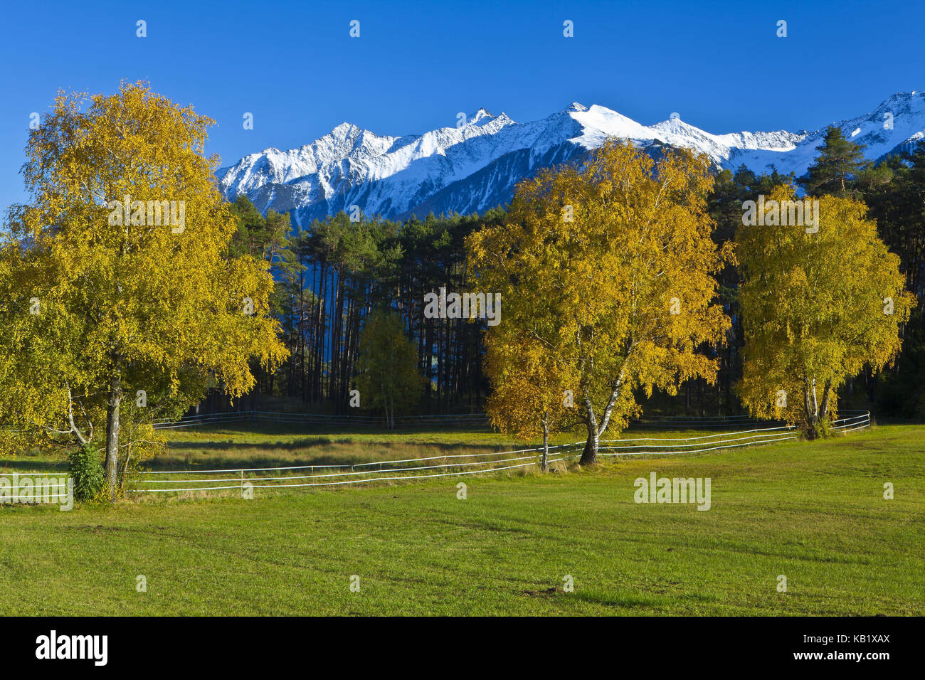 Austria, Tyrol, Mieminger plateau, Obsteig Stock Photo - Alamy