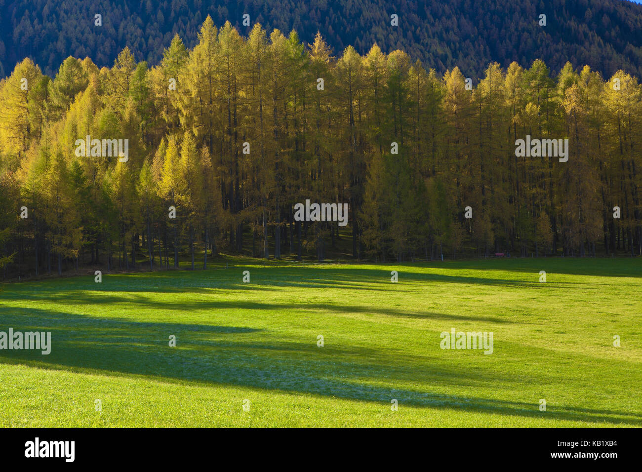 Austria, Tyrol, Mieminger plateau, Obsteig, Holzleiten Stock Photo - Alamy