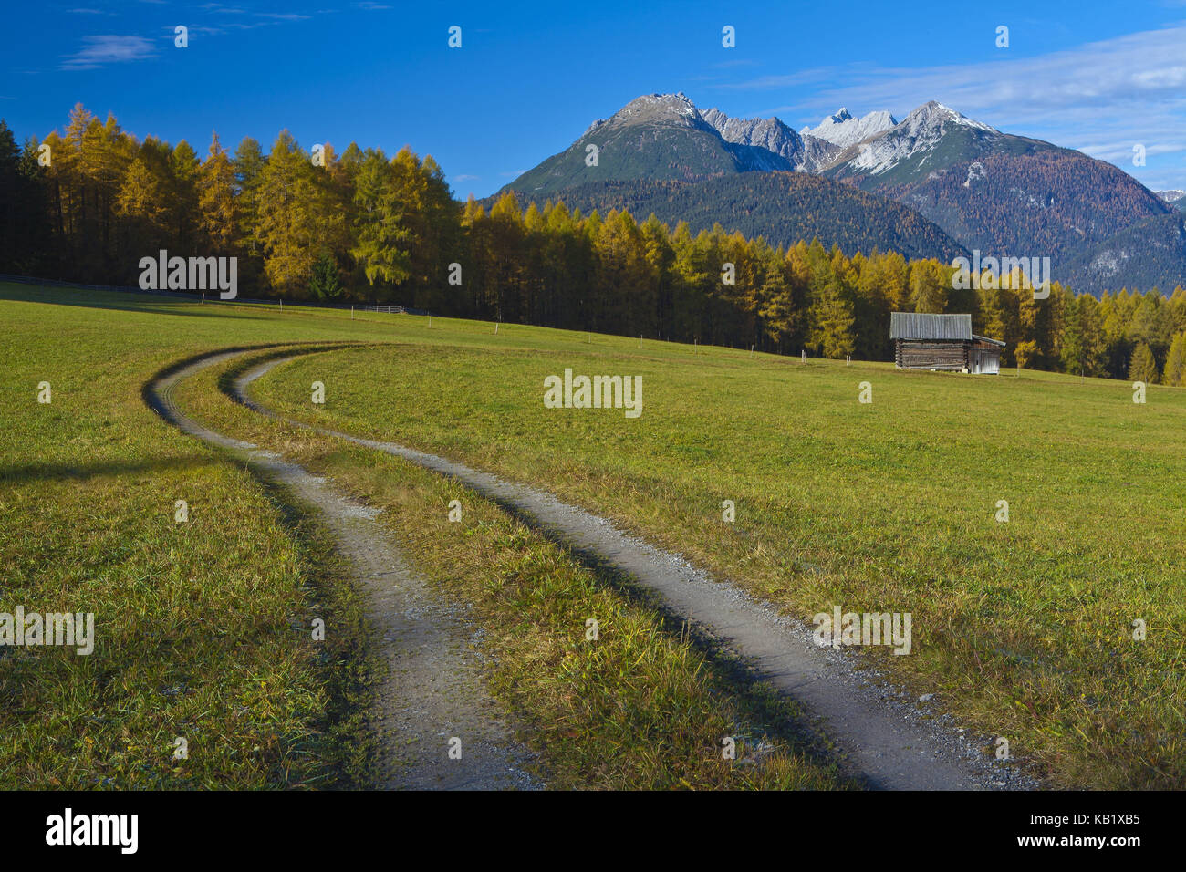 Austria, Tyrol, Mieminger plateau, Obsteig, Holzleiten Stock Photo - Alamy