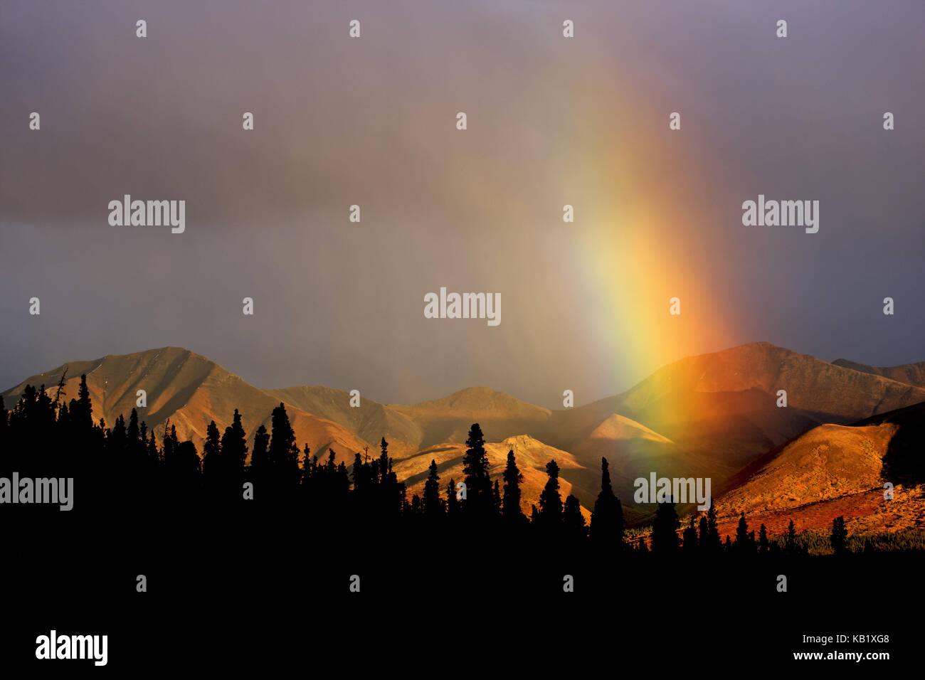 North America, the USA, Alaska, Denali national park, rainbow, Alaska ...