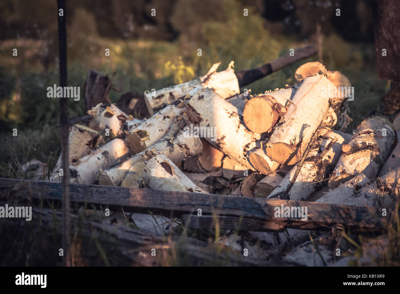Wood logs on grass in countryside as rustic background Stock Photo - Alamy