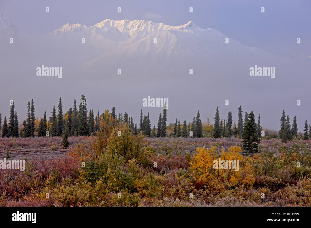 North America, the USA, Alaska, Denali national park, Alaska Range ...