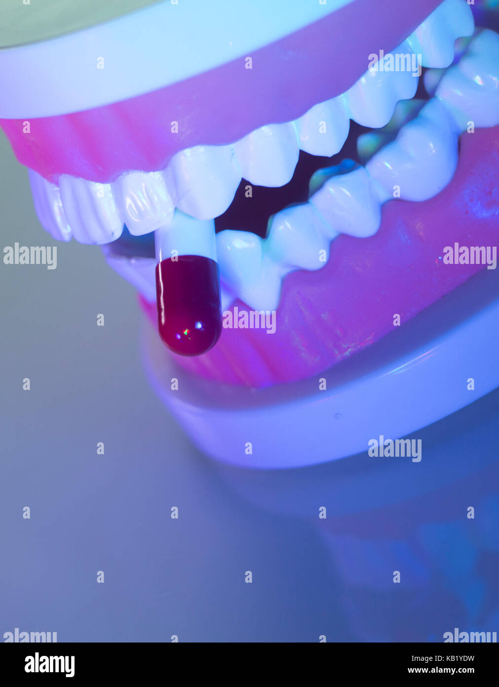 Dental teeth, mouth, gums dentists teaching model showing each tooth ...
