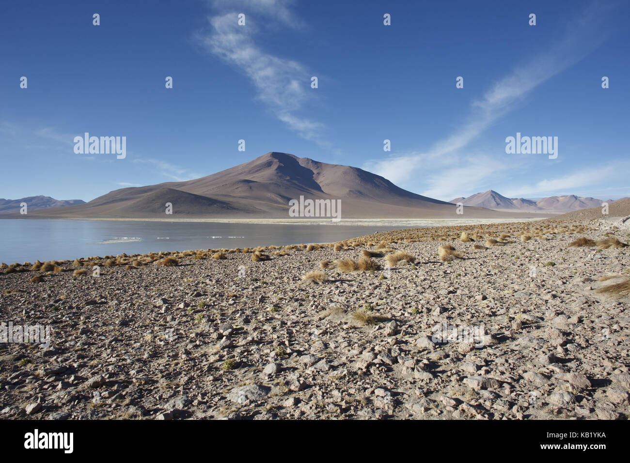 Lipez hi-res stock photography and images - Alamy