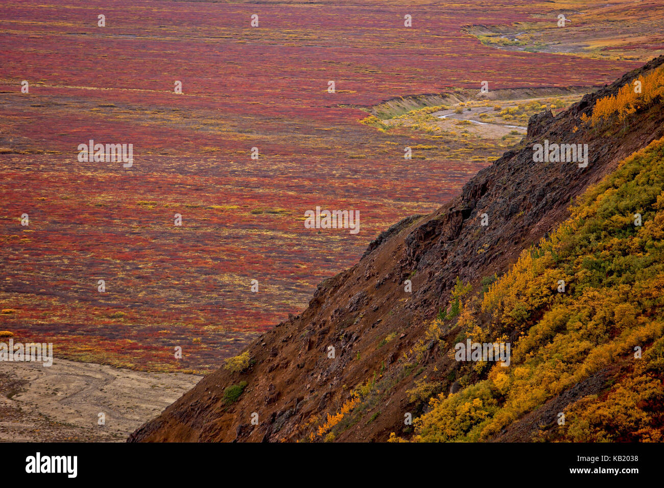 North America, the USA, Alaska, Denali national park, polychrome pass ...
