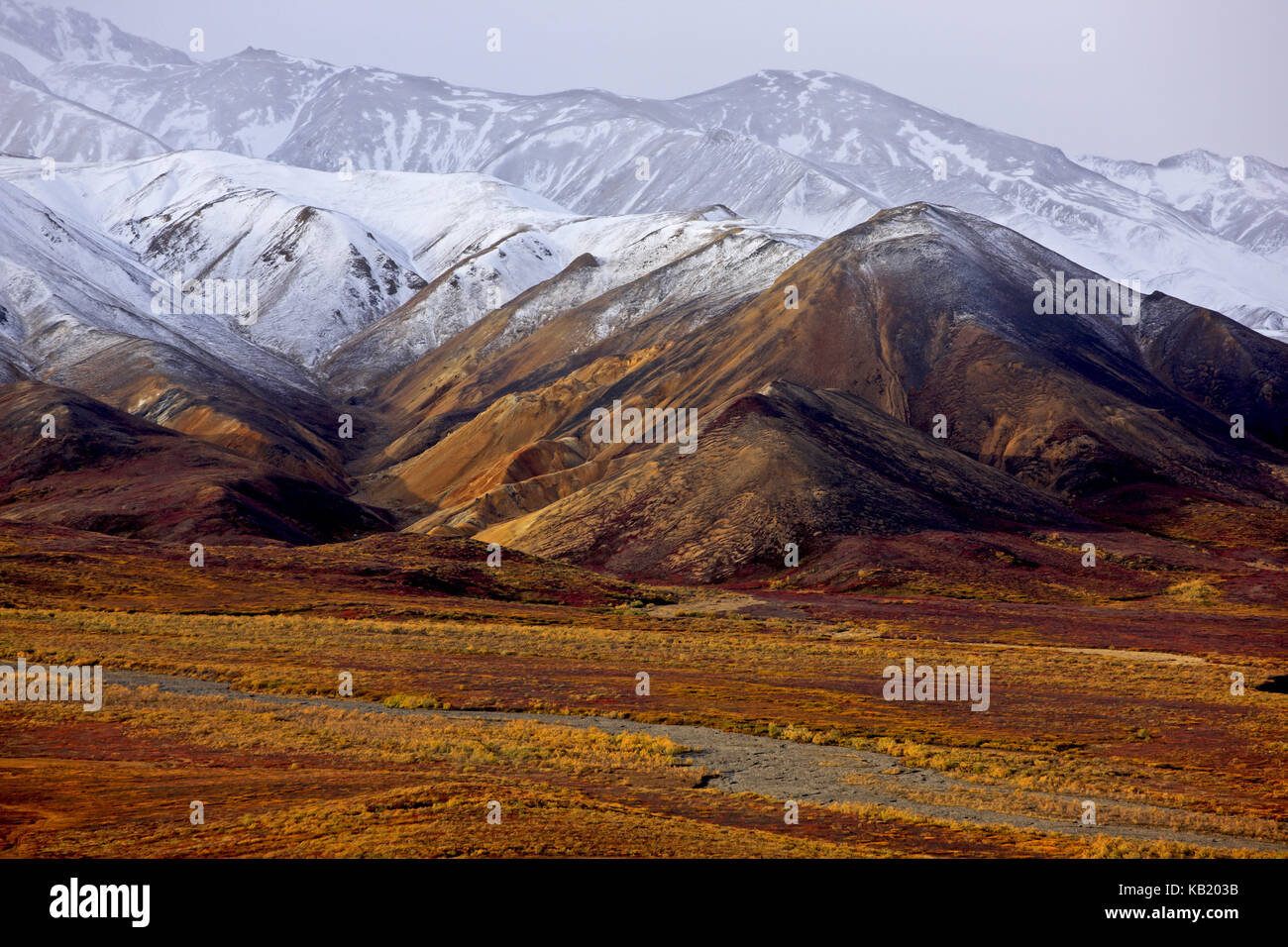North America, the USA, Alaska, Denali national park, Alaska Range ...