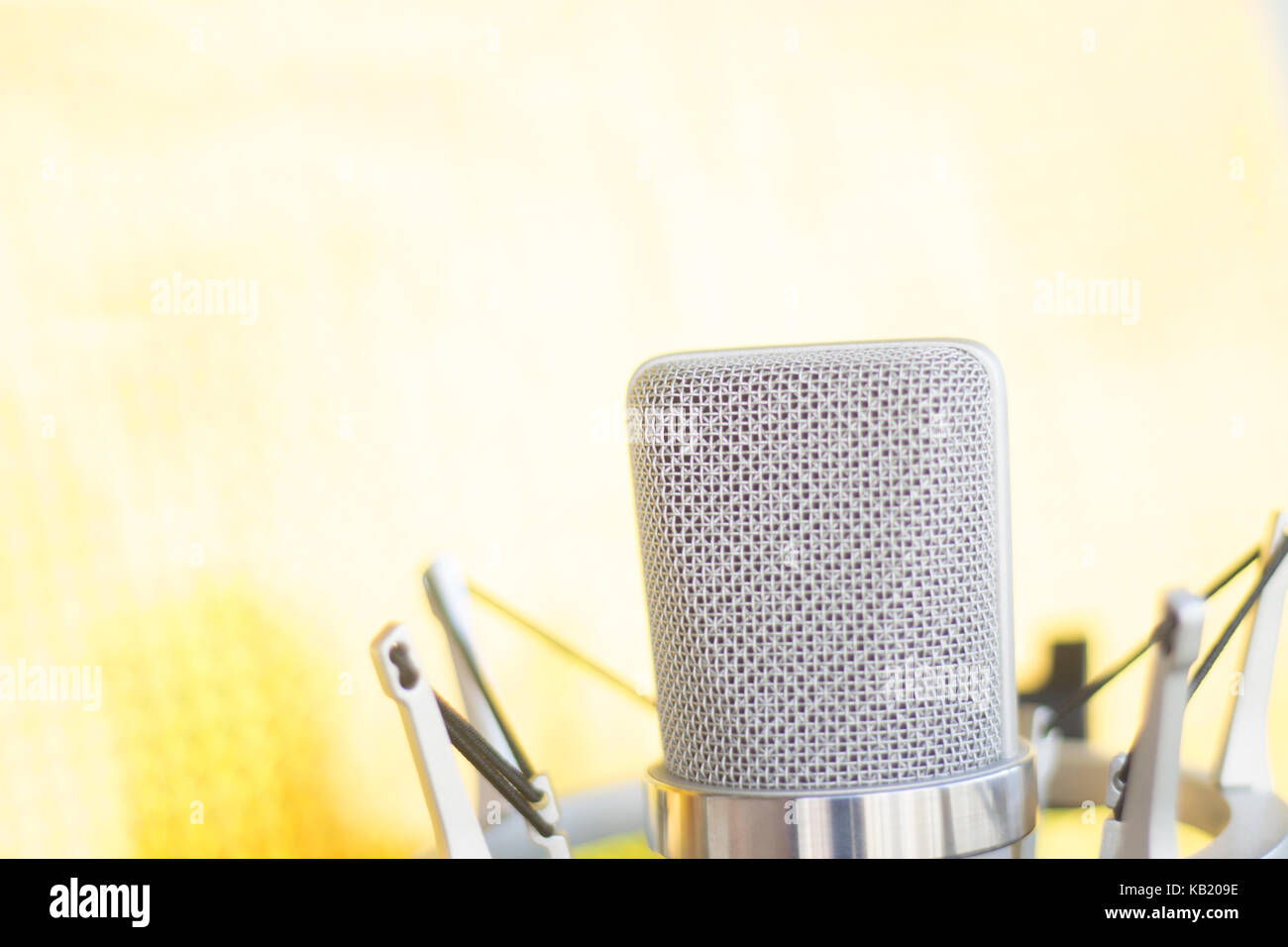 Large diaphragm condenser studio recording voice microphone to record ...