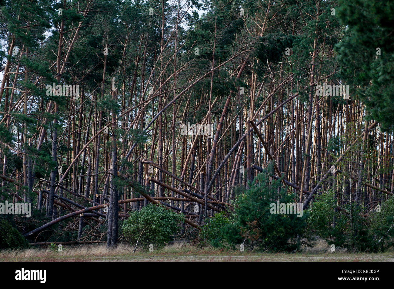 High wind speeds hi-res stock photography and images - Alamy