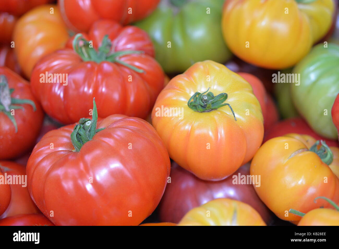 Heirloom Tomatoes, Closeup, Farmer's Market Stock Photo - Alamy
