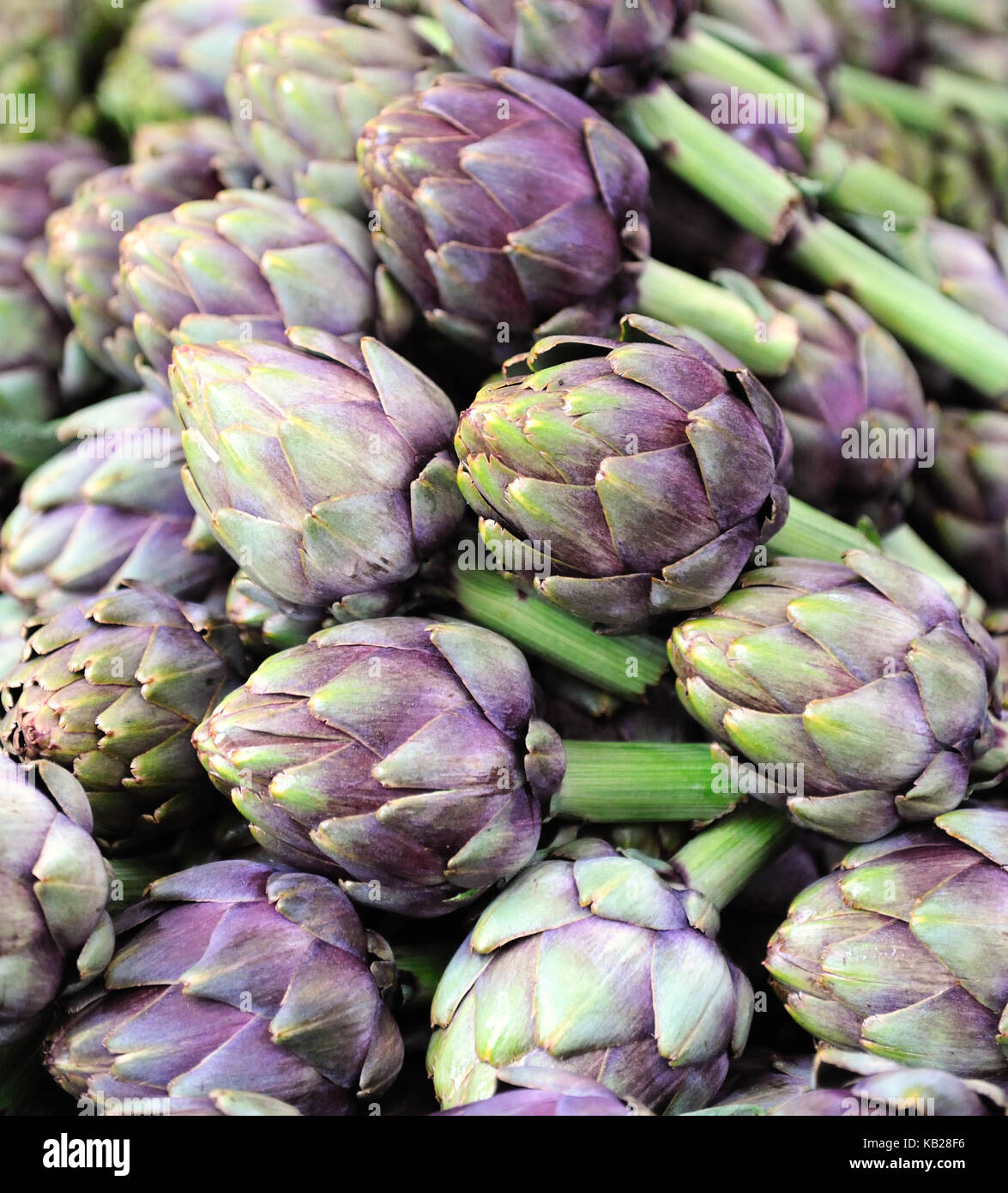 Artichokes for Sale at Farmer's Market Stock Photo - Alamy