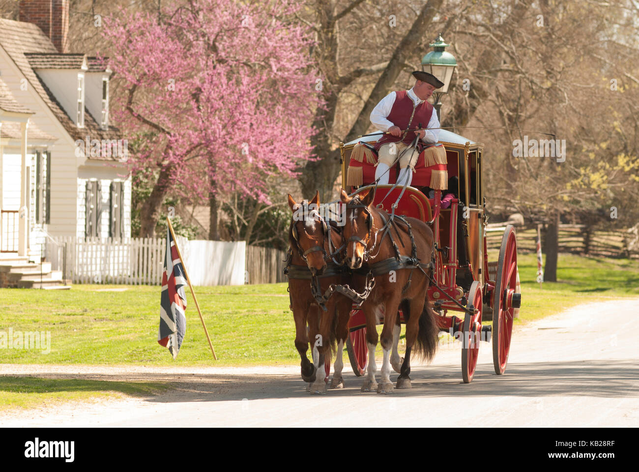 Horse carriage with driver in period costume rides through Colonial ...