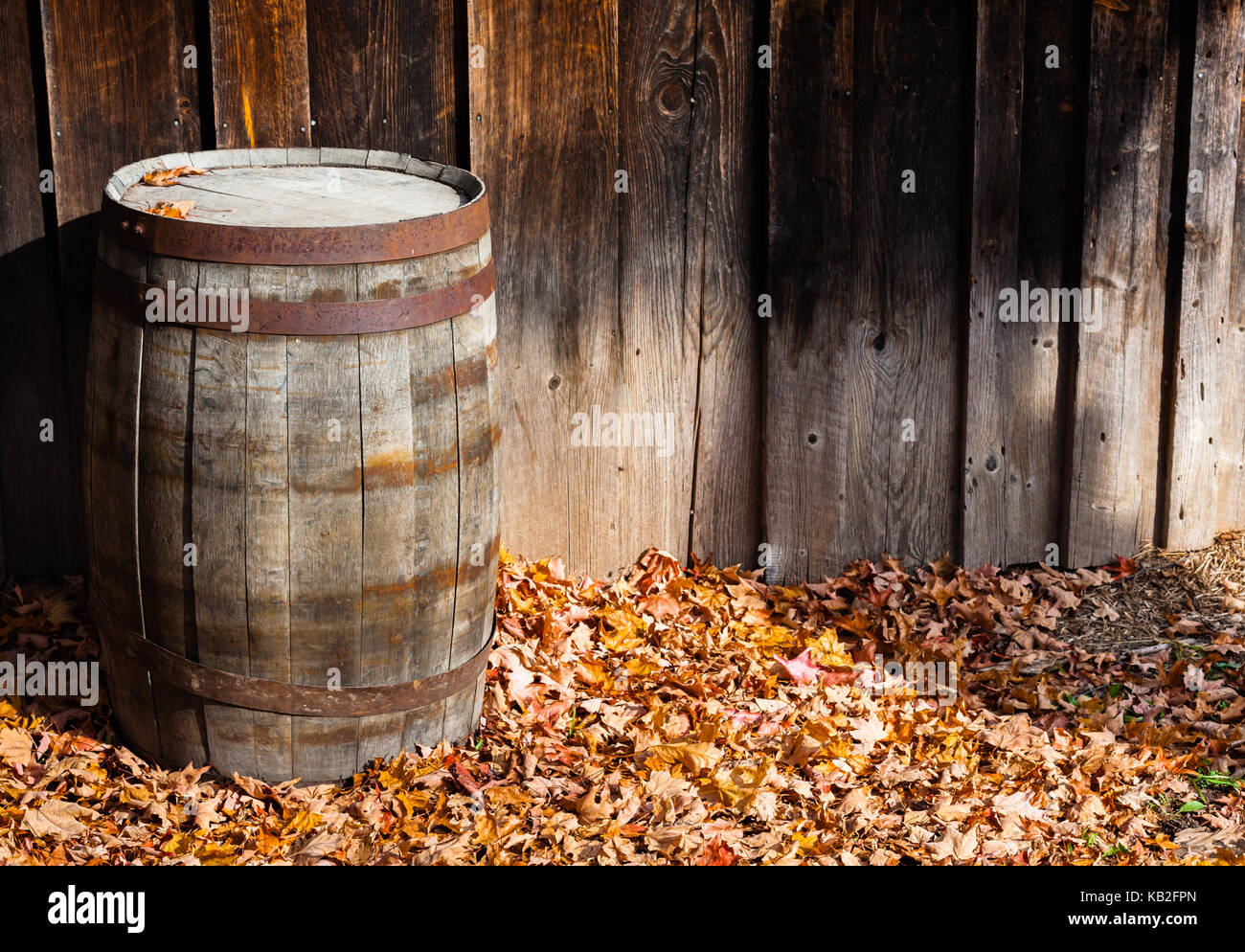 Rustic vintage wooden barrel by barn wall standing on dry autumn leaves ...