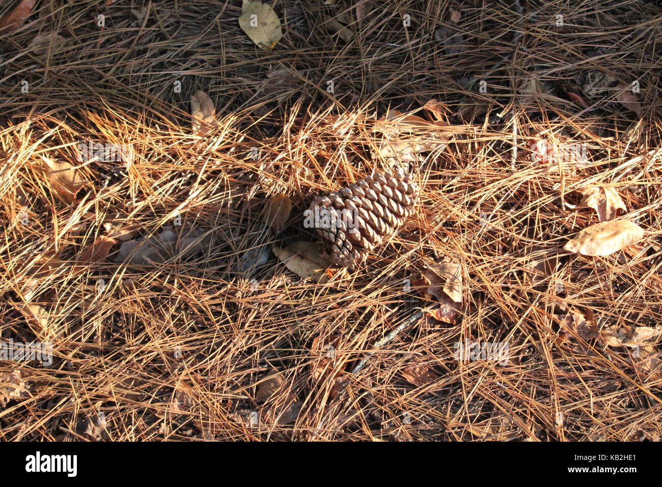 Sharp cone hi-res stock photography and images - Alamy