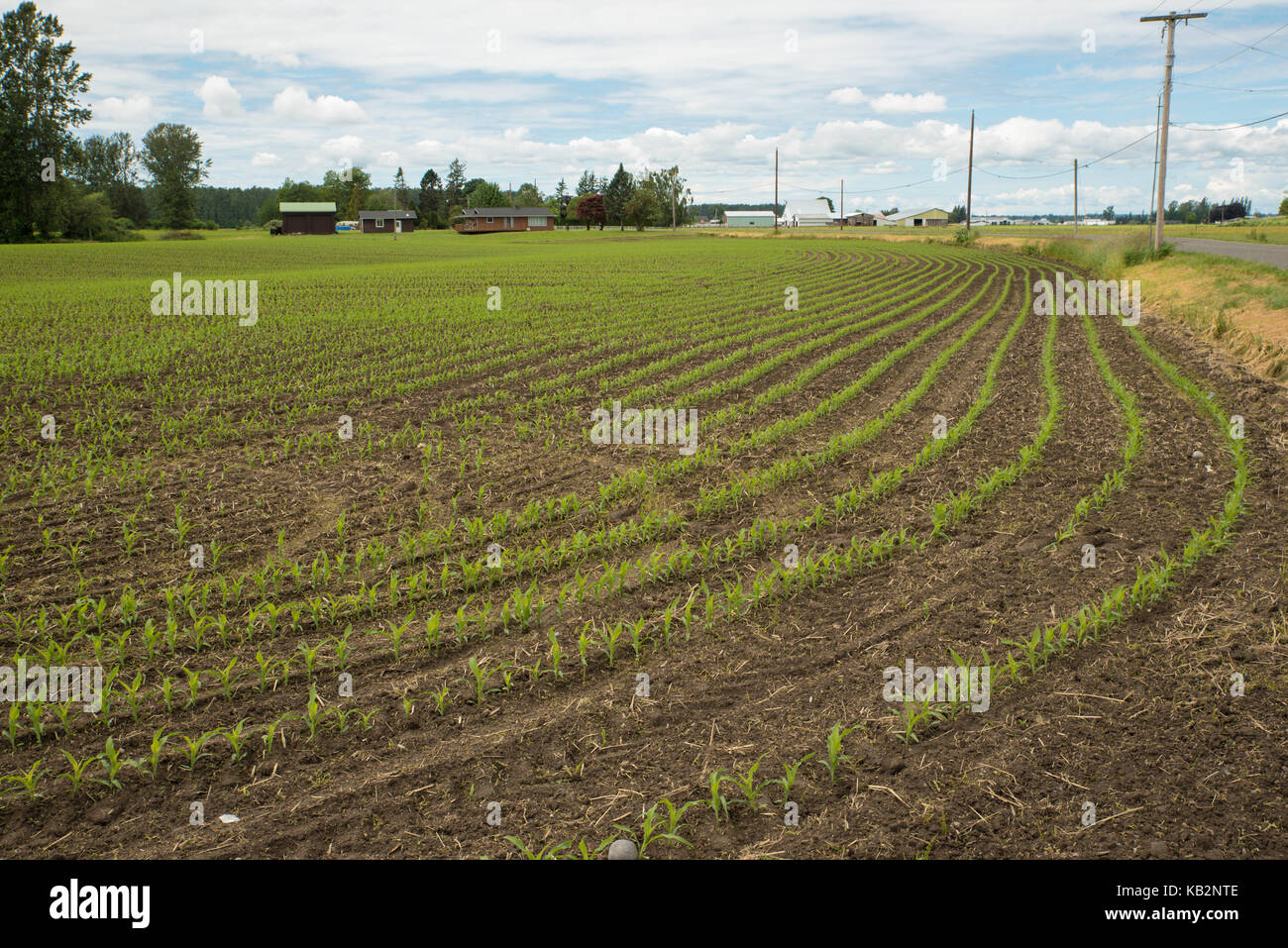 Everson hi-res stock photography and images - Alamy