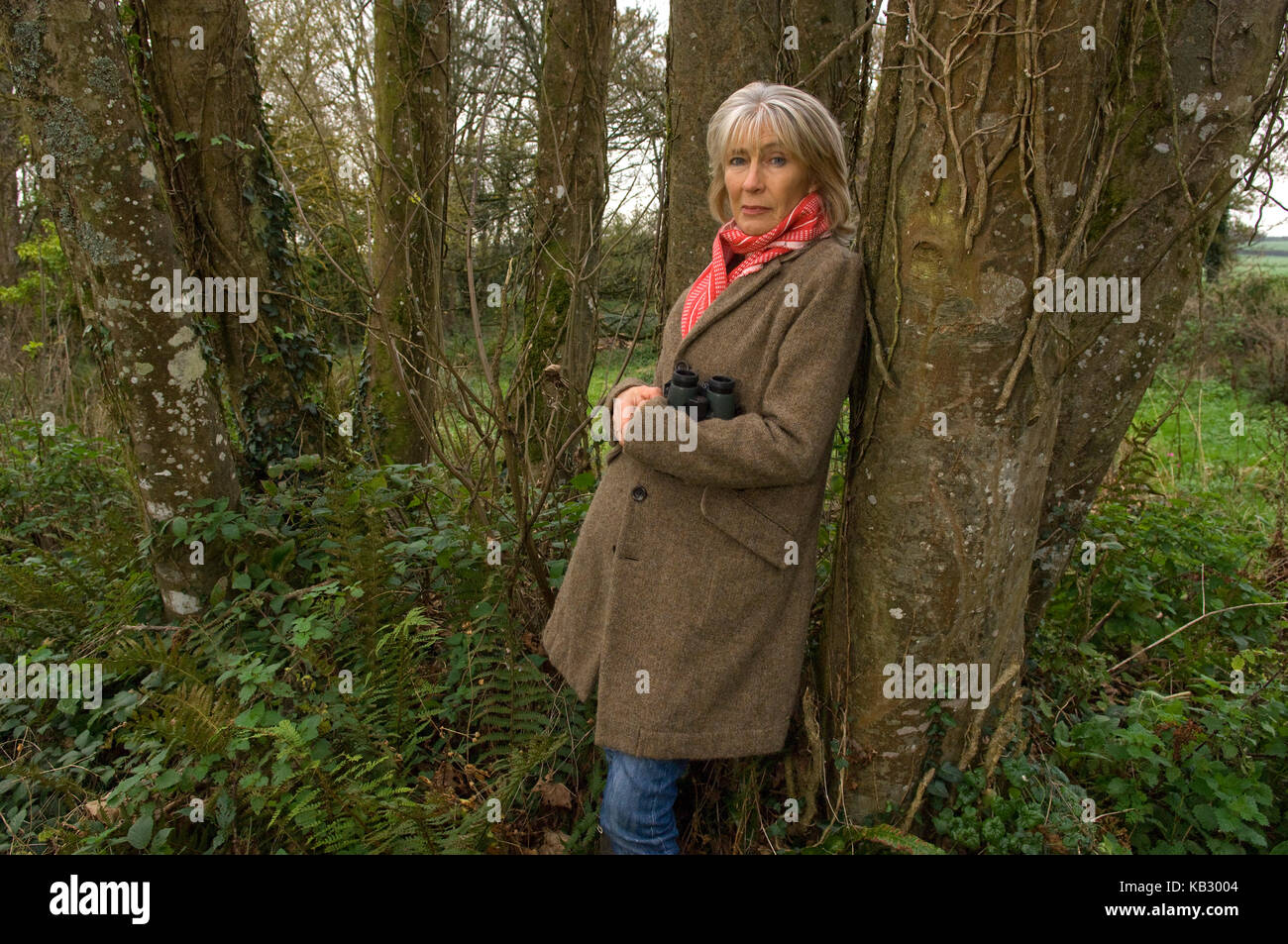 Lady jane rice hi-res stock photography and images - Alamy