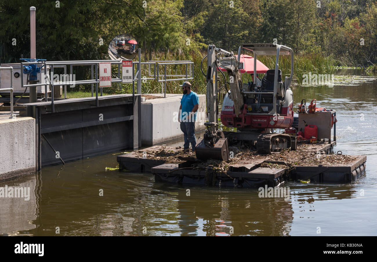 After Hurricane Irma, Tree Cleanup crew locking through the Burrell ...